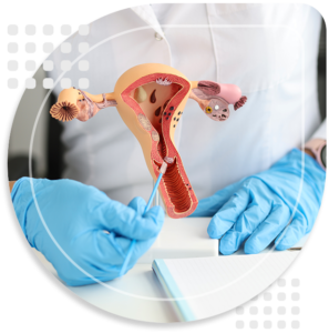 Loop Electrosurgical Excision Procedure (LEEP)
